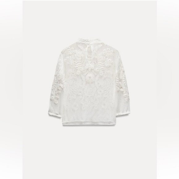 Zara | Tops | Zara Embroidered Top Zw Collection | Poshmark